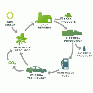 Smart Energy Initiative » Biofuels Overview